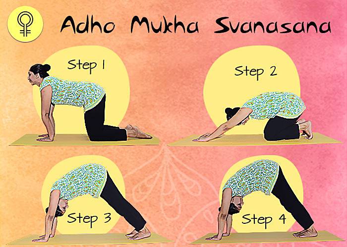 SKLĐ - Yoga: Tư Thế Chó Cúi Mặt-Adho Mukha Svanasana - Câu lạc bộ phụ ...